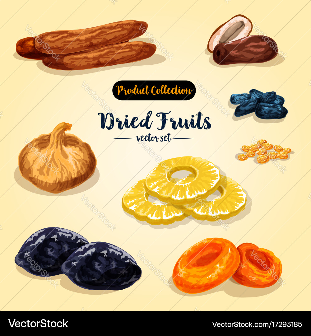 Dried fruit and candied berry set Royalty Free Vector Image
