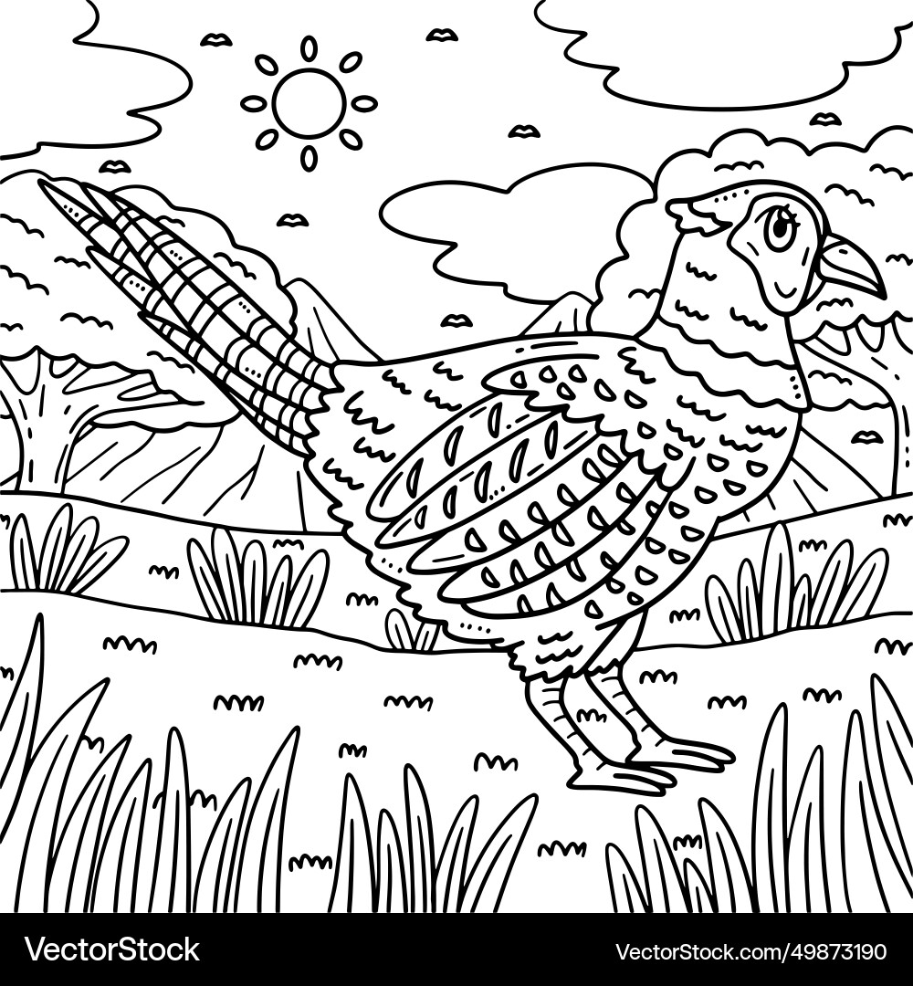 Common pheasant bird coloring page for kids Vector Image
