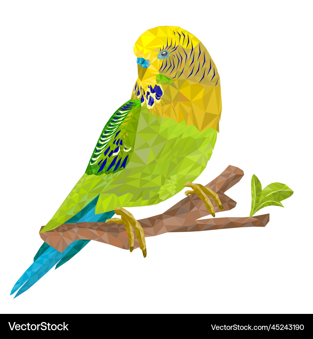 Green parakeet budgerigar home pet Royalty Free Vector Image