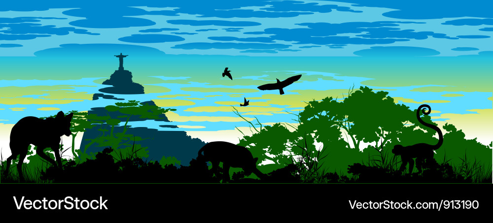 Wild jungle animals in brazil Royalty Free Vector Image