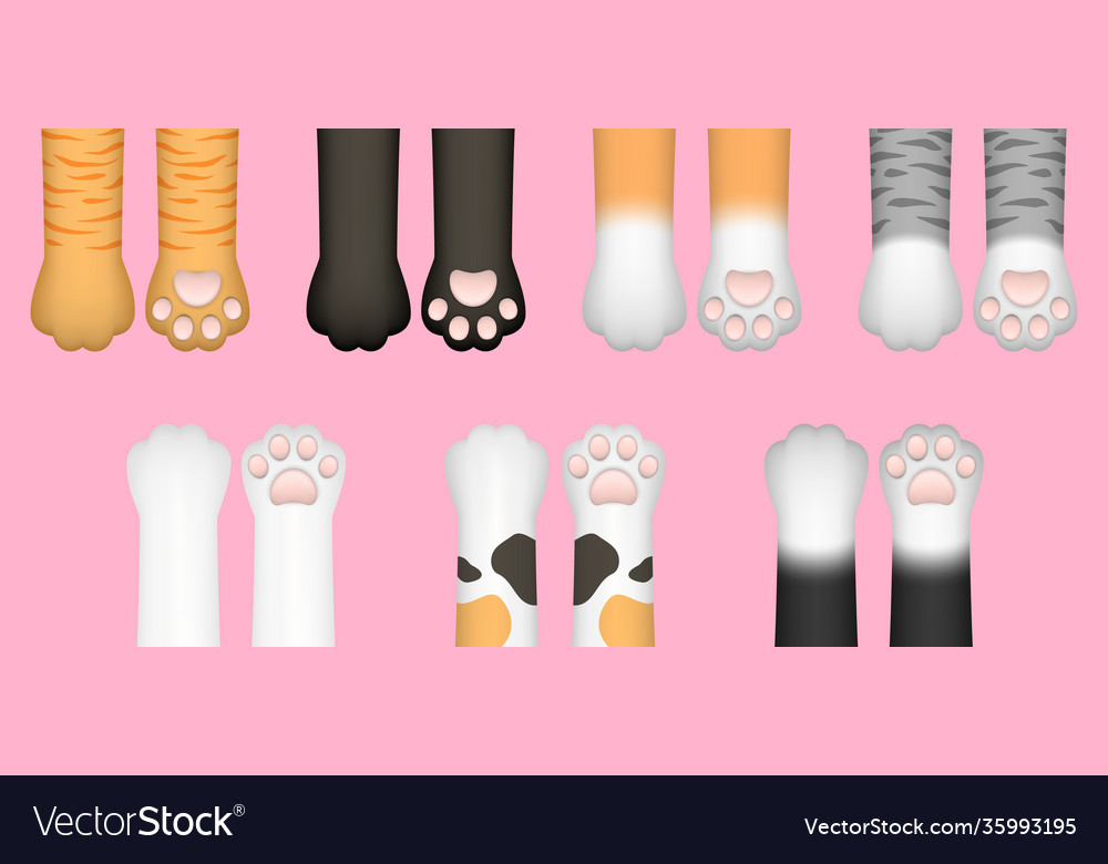 3d realistic multi-colored cat paws legs dog paws Vector Image 3d realistic multi-colored cat paws legs dog paws Vector Image