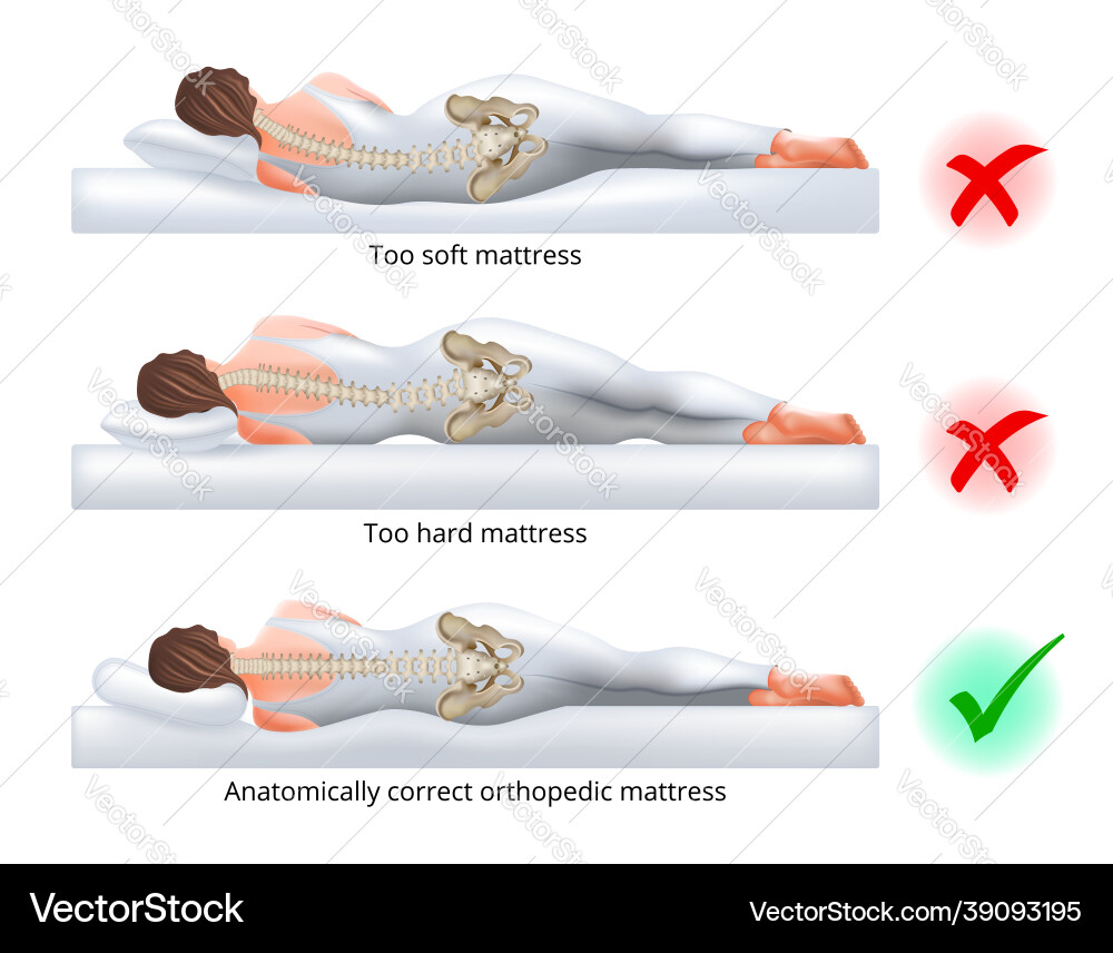 Choosing An Orthopedic Mattress For Sleeping Vector Image