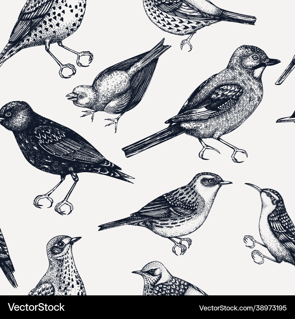 Seamless pattern with hand-sketched detailed birds
