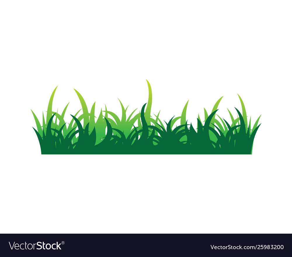 Grass template Royalty Free Vector Image - VectorStock