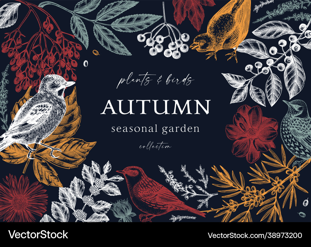 Hand-sketched autumn background with birds Vector Image