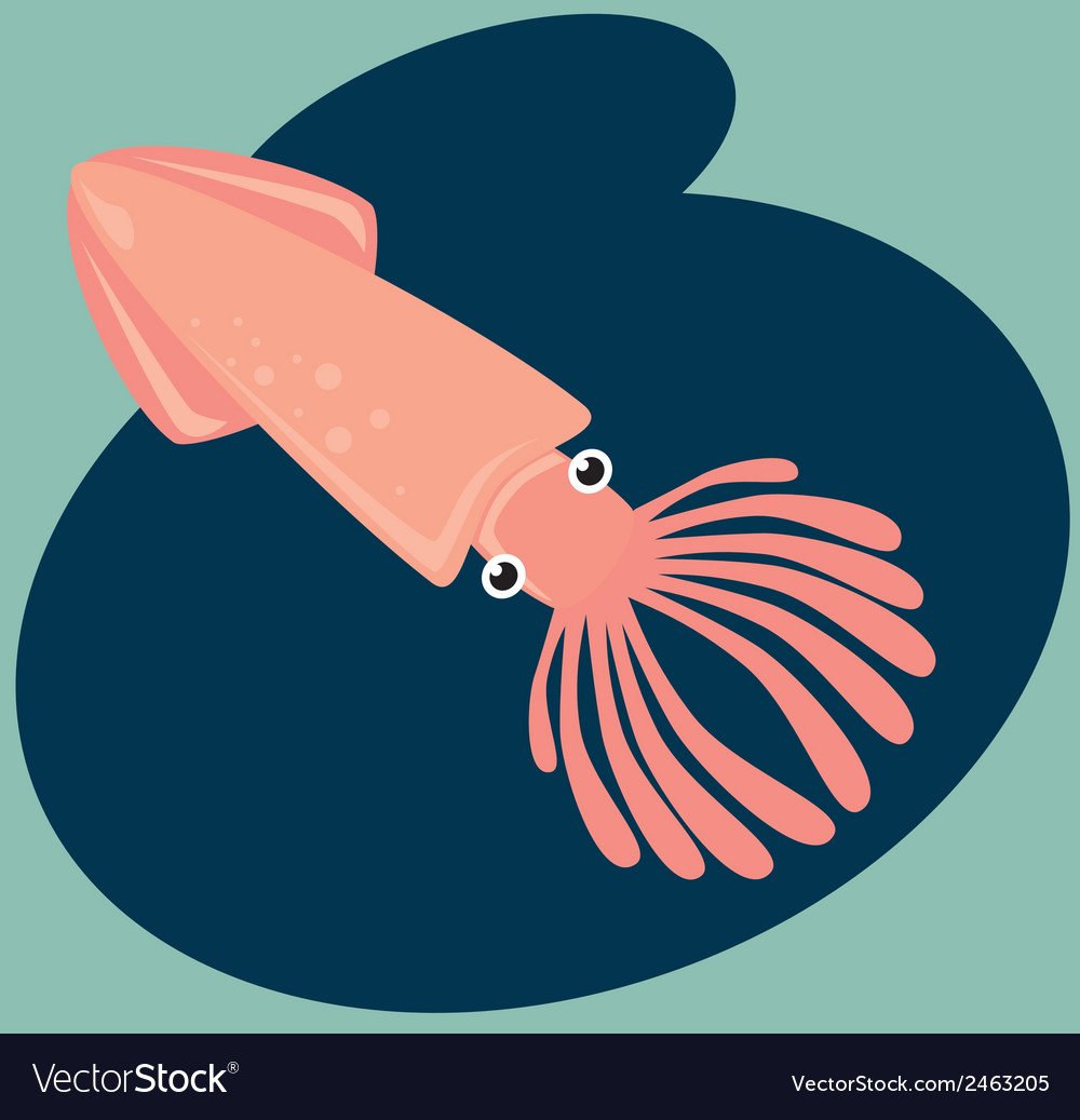 Base ok Royalty Free Vector Image - VectorStock