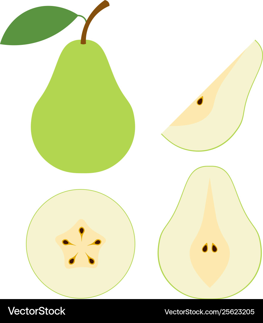 Green pear cartoon set cross section cut pear Vector Image
