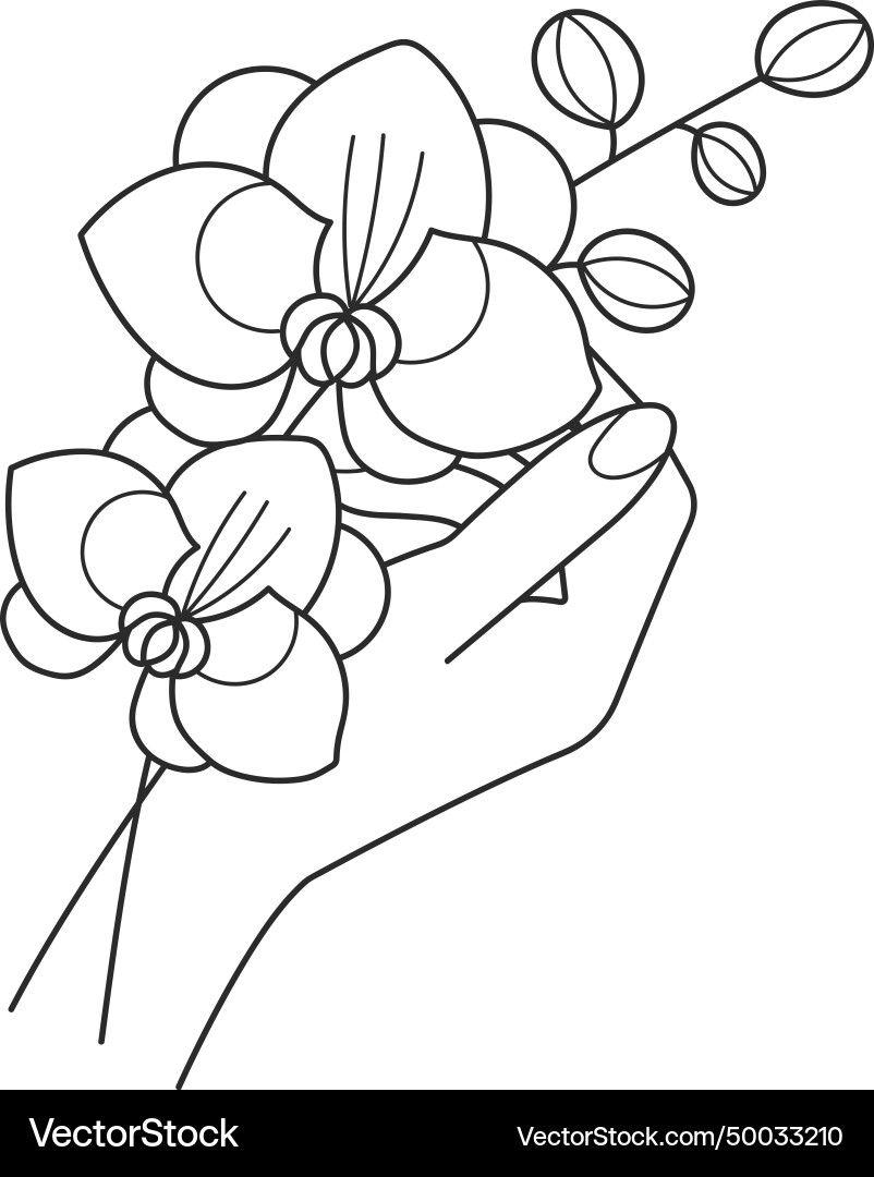 Hand holding flowers outline Royalty Free Vector Image