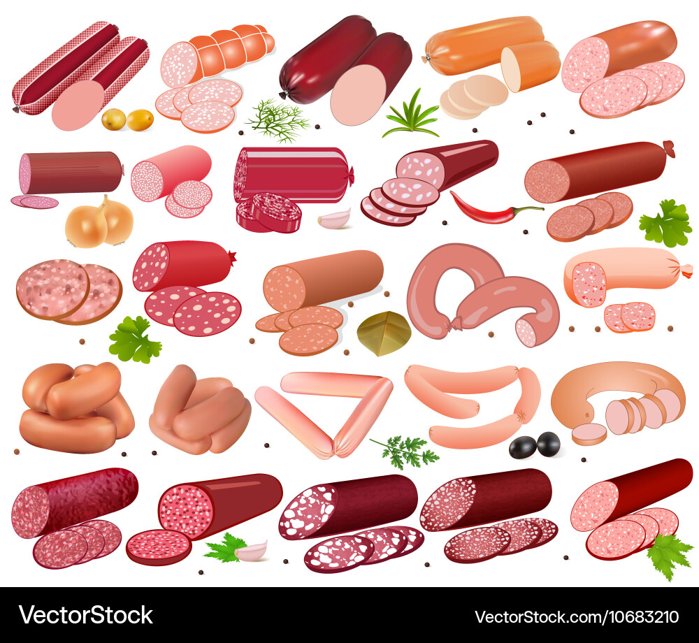 Set of different kinds sausage Royalty Free Vector Image