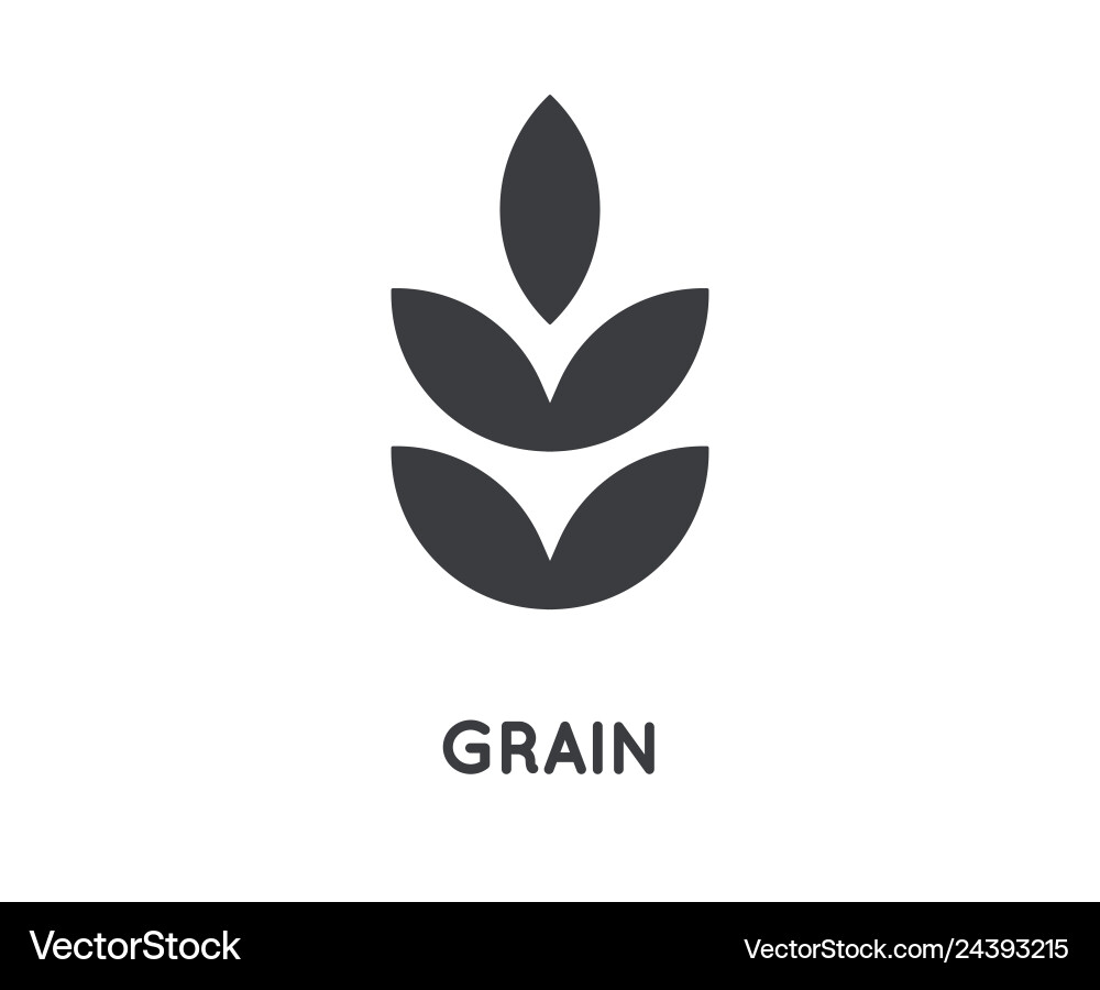Grain icon grain glyph design concept agriculture Vector Image