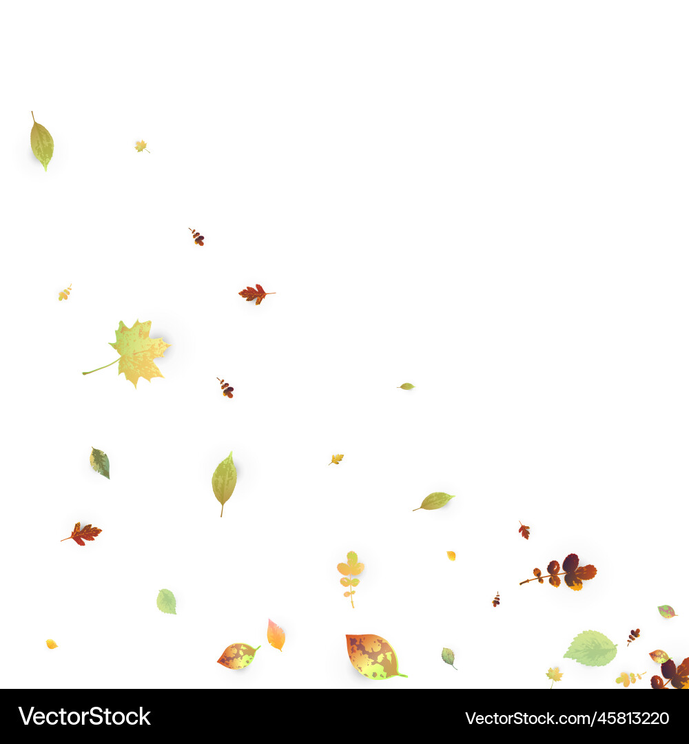 Leaves falling autumn foliage chaotic leaf flying Vector Image