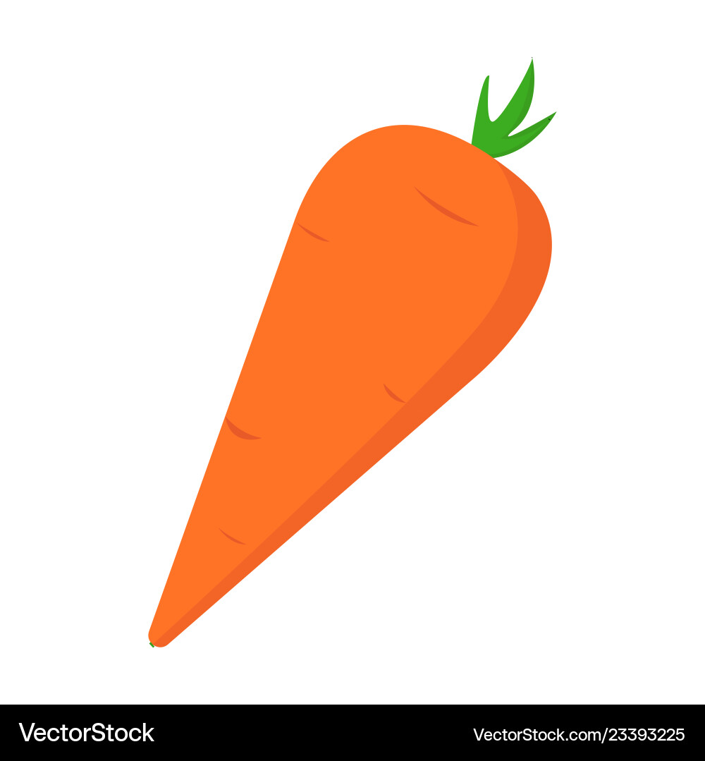 Carrot icon on white background for graphic Vector Image