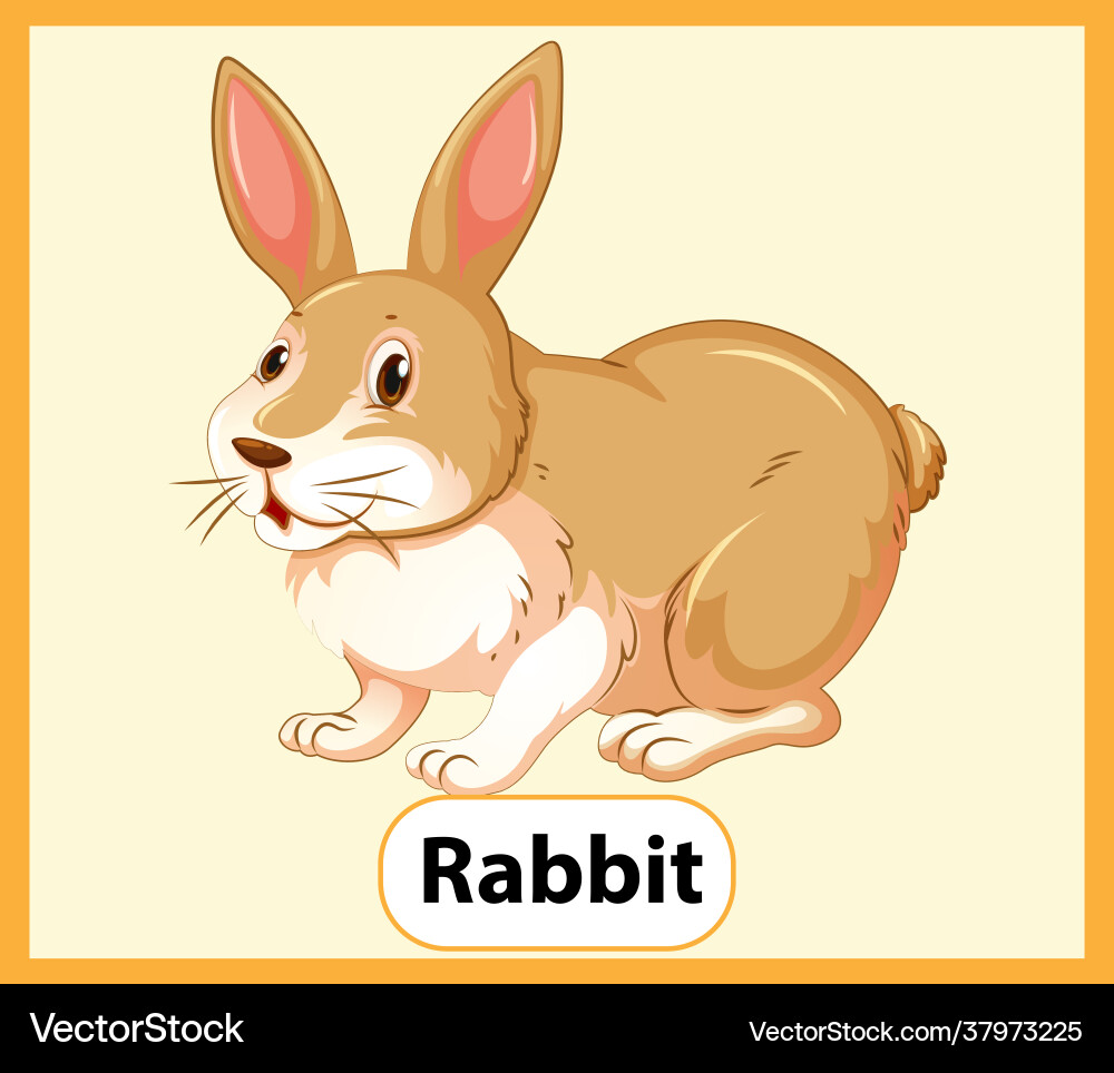 Educational english word card rabbit Royalty Free Vector