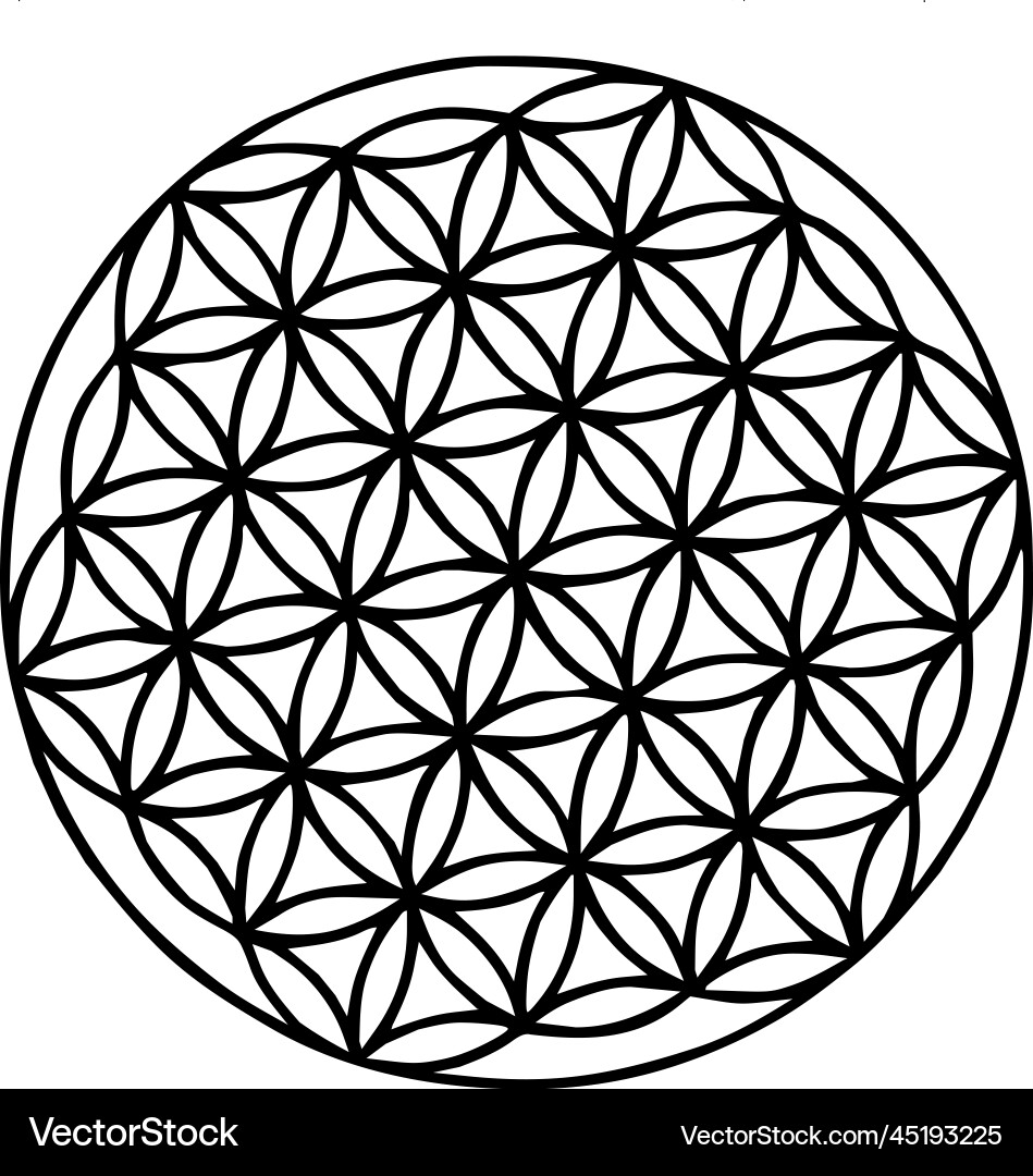 Flower of life image Royalty Free Vector Image
