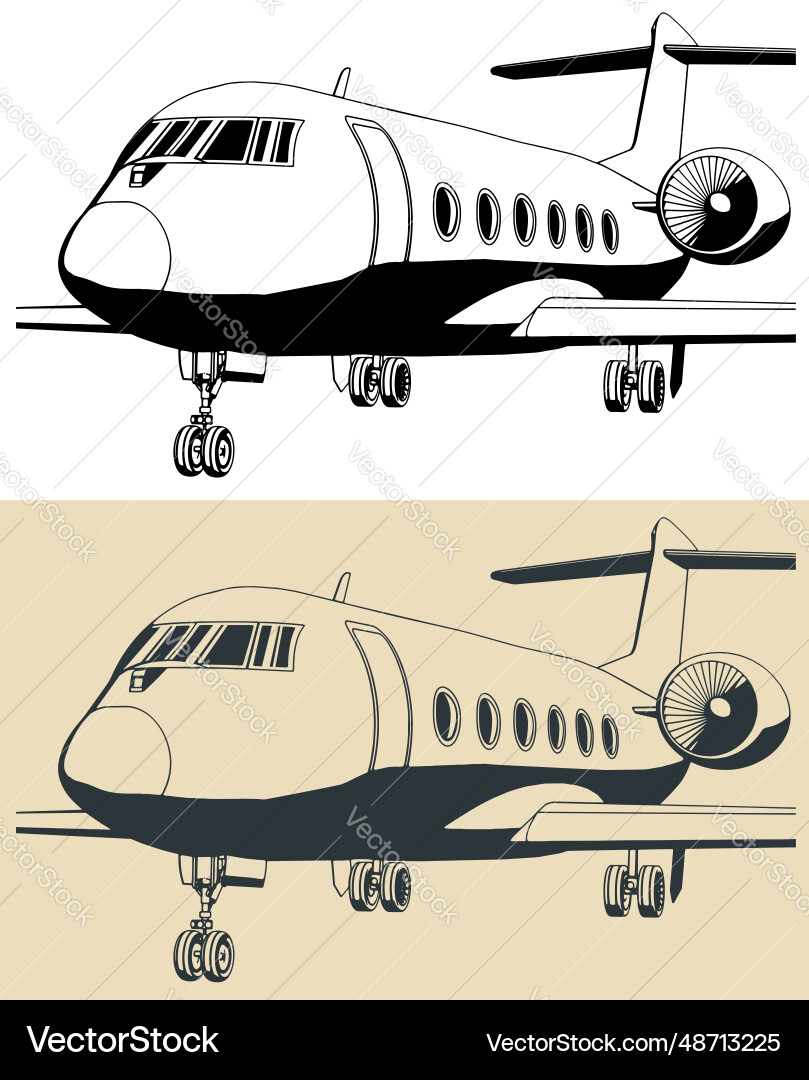 Private business jet close-up Royalty Free Vector Image