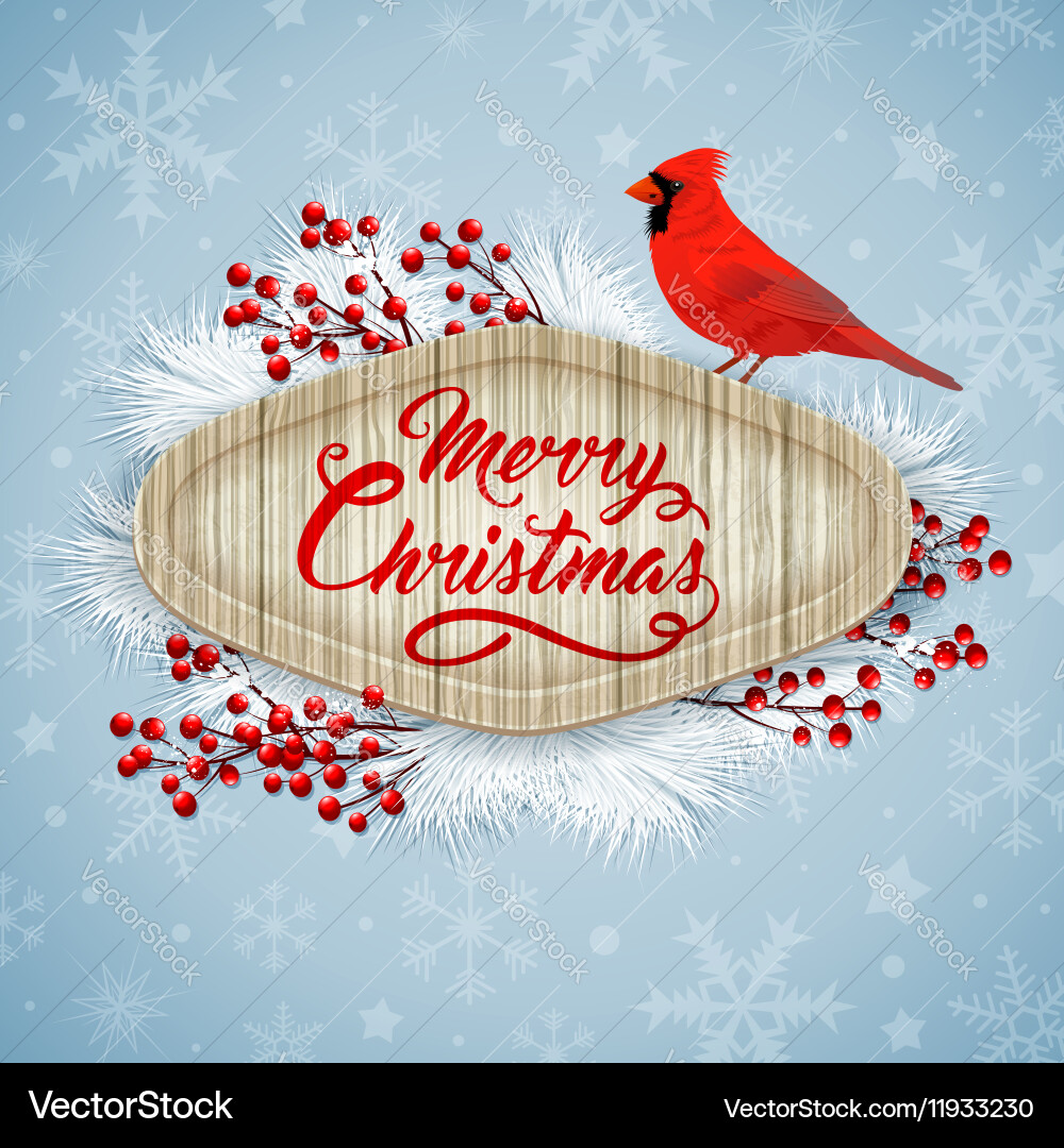Christmas background with cardinal bird Royalty Free Vector