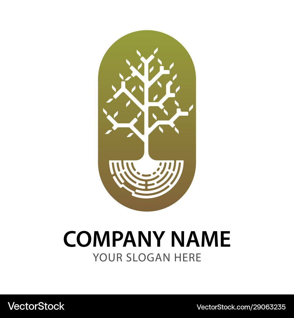 Abstract branch and tree logo for company Vector Image