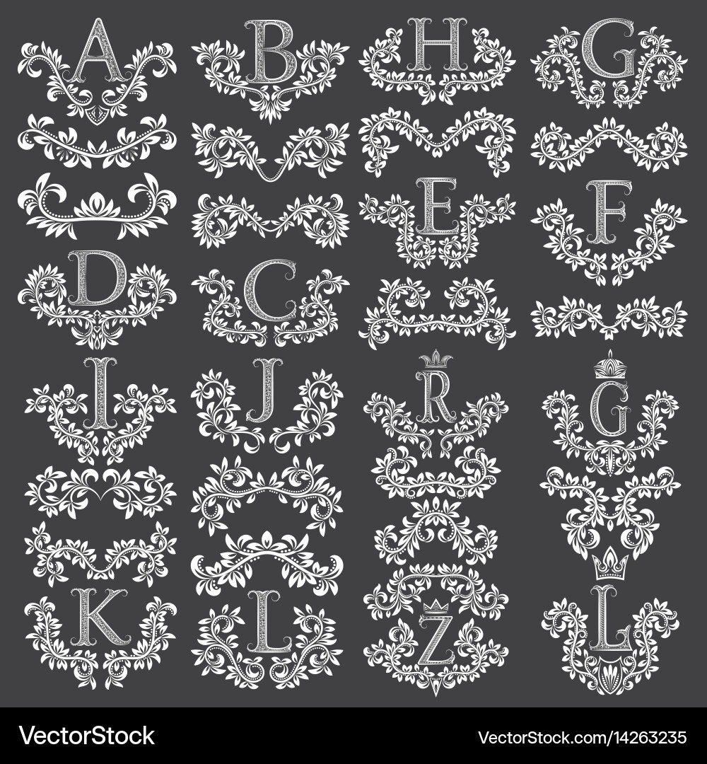Big set of ornamental elements for design Vector Image