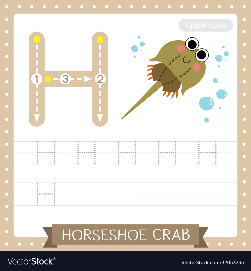 Letter h uppercase tracing practice worksheet Vector Image