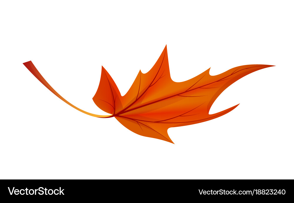 Autumn golden yellow leaf icon Royalty Free Vector Image