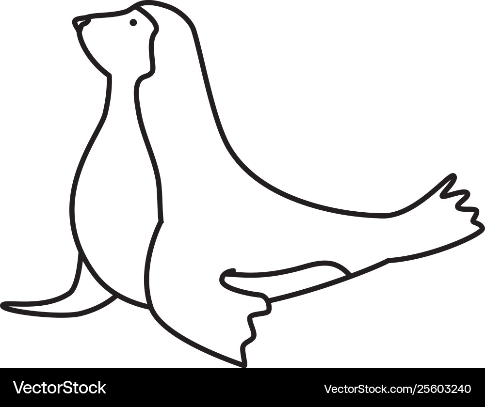 Circus seal marine animal Royalty Free Vector Image