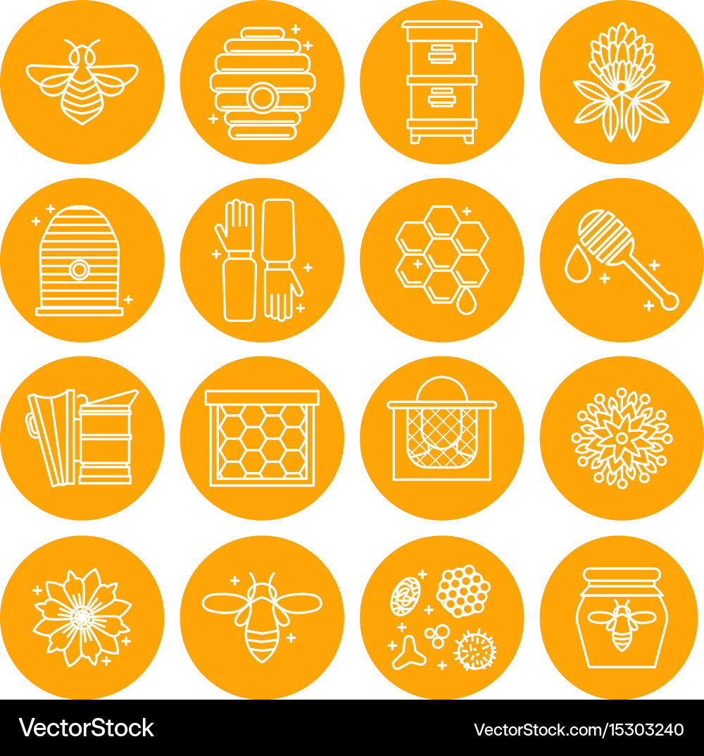Set icons beekeeping honey apiary Royalty Free Vector Image