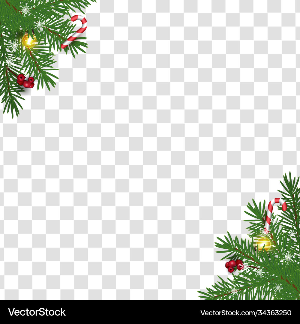 Christmas social media post templatespost square Vector Image