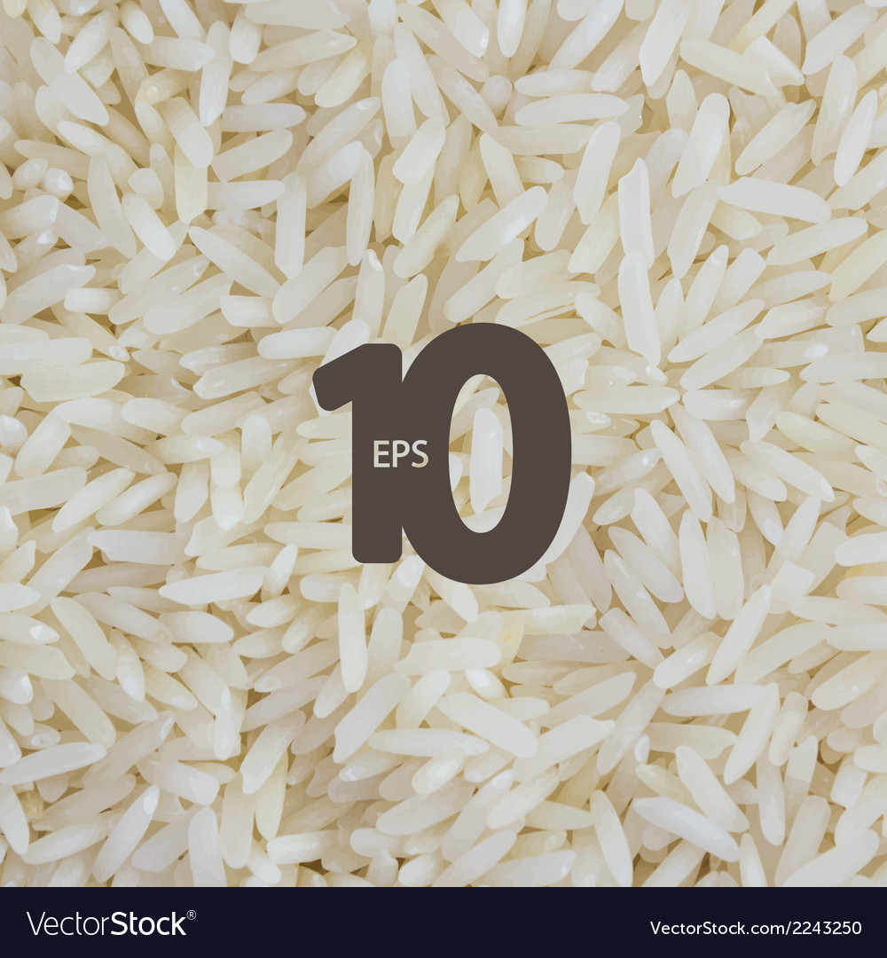 Rice background Royalty Free Vector Image - VectorStock
