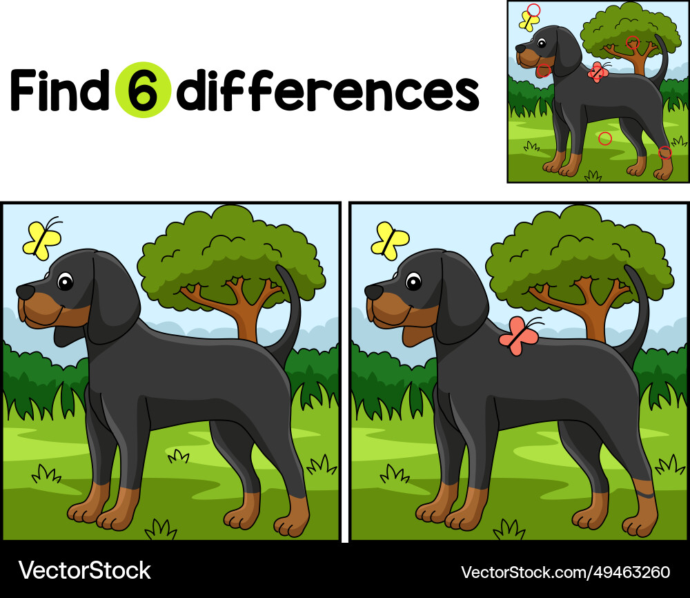 Coonhound dog find the differences Royalty Free Vector Image