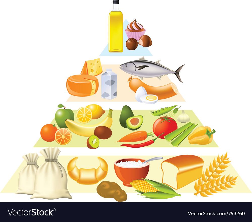 Food pyramid Royalty Free Vector Image - VectorStock