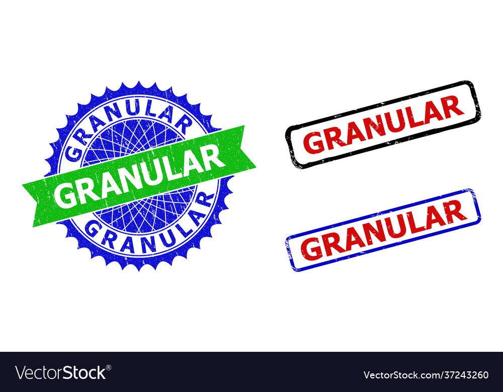 Granular Rosette And Rectangle Bicolor Seals Vector Image