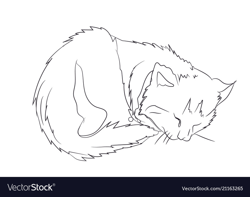 Cat lines Royalty Free Vector Image - VectorStock