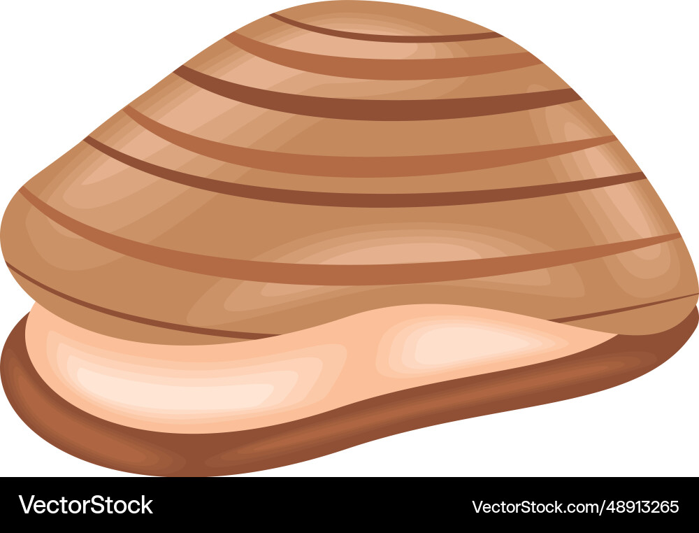 Oyster sea life Royalty Free Vector Image - VectorStock