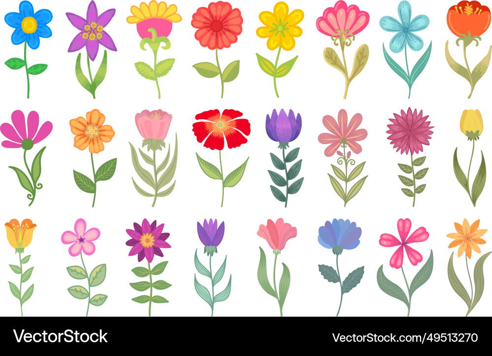 Colorful floral set Royalty Free Vector Image - VectorStock