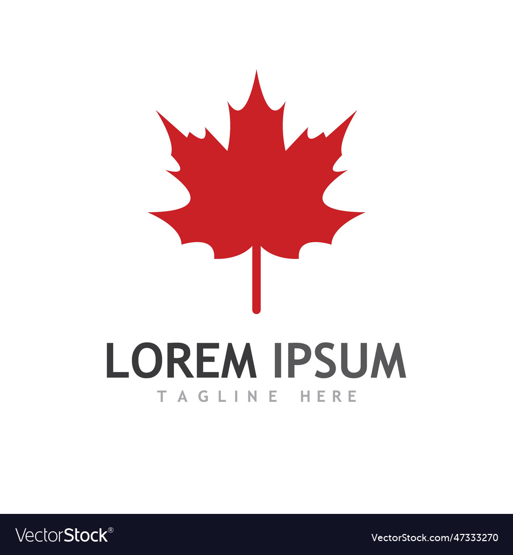 Maple leaf Royalty Free Vector Image - VectorStock