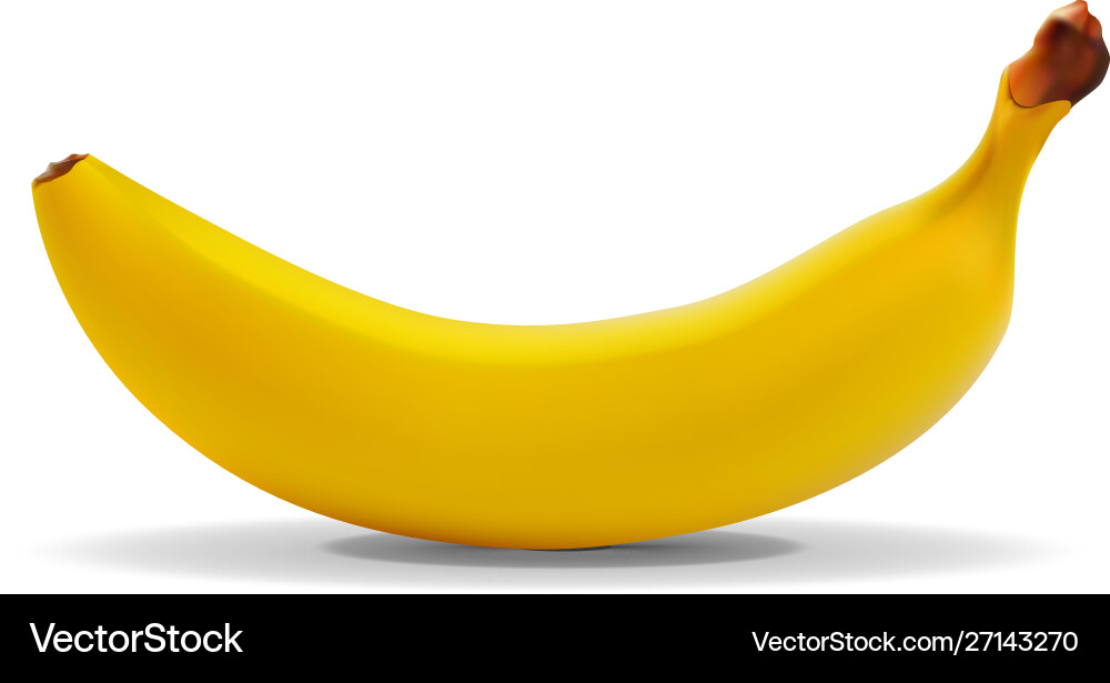 Realistic banana isolated on white background Vector Image
