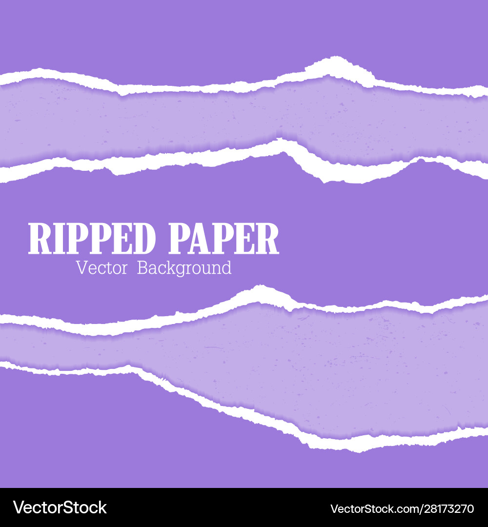 Ripped paper paper paper Royalty Free Vector Image