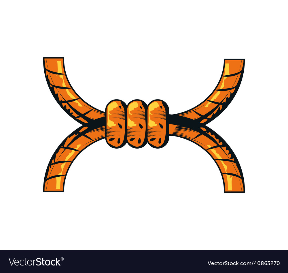 Rope with a knot Royalty Free Vector Image - VectorStock