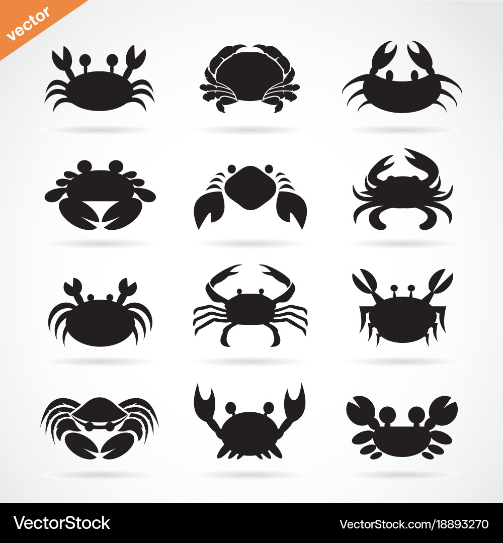 Set crab icons on white background aquatic Vector Image