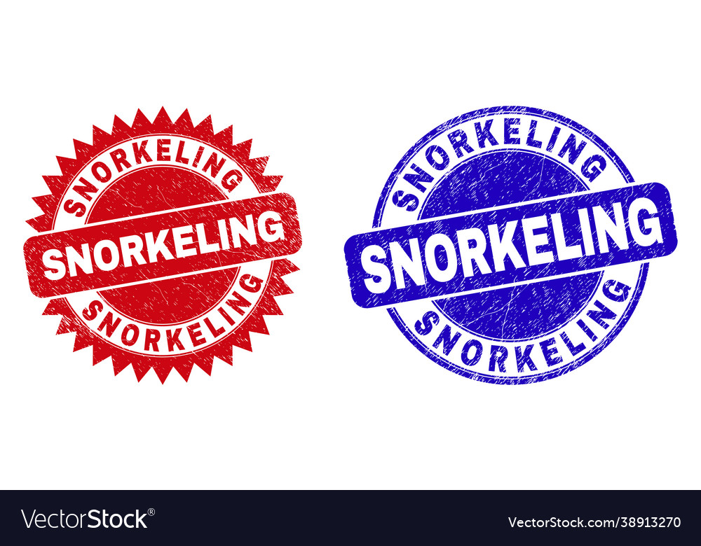 Snorkeling rounded and rosette seals with grunge Vector Image