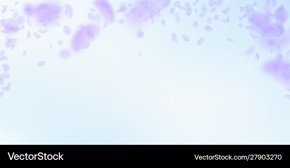 Violet flower petals falling down adorable romant Vector Image