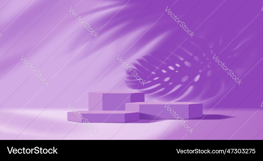 Purple podium with monstera palm leaf shadow Vector Image