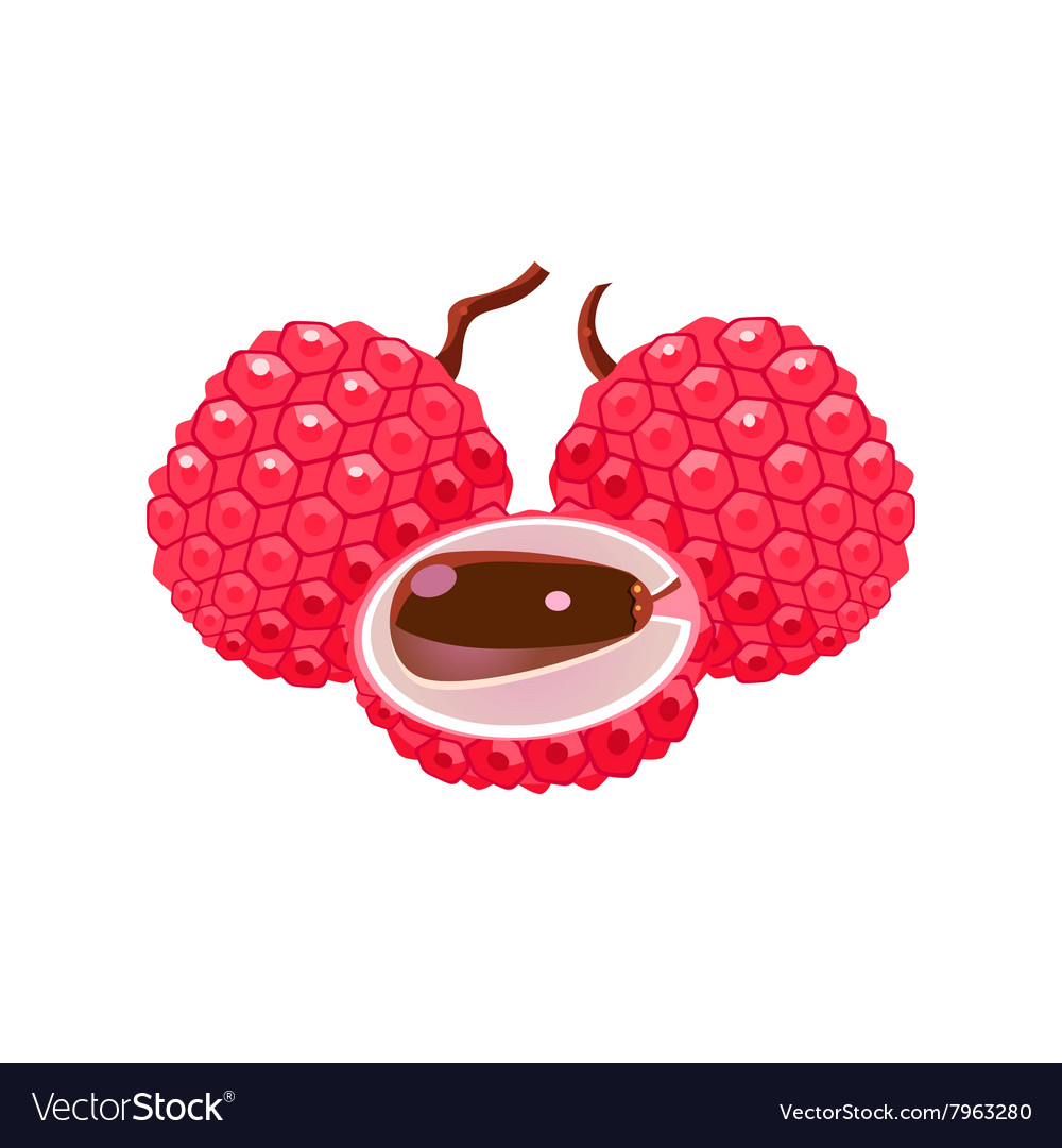Lychee Flat Sticker Royalty Free Vector Image - VectorStock