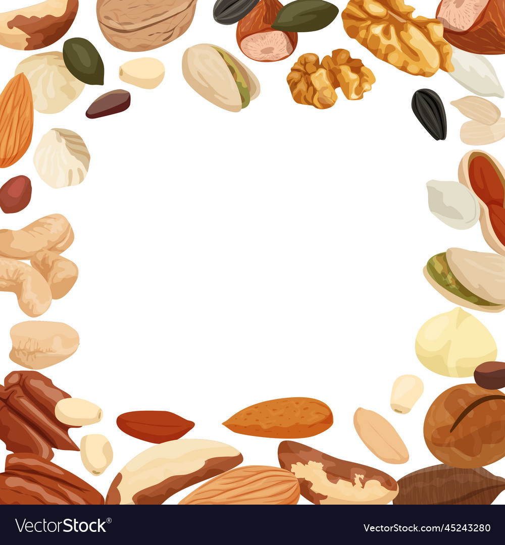 Nuts seeds frame composition Royalty Free Vector Image