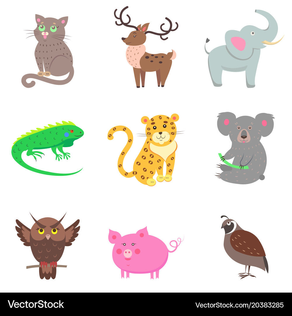 Quail pig koala elephant jaguar iguana deer Vector Image