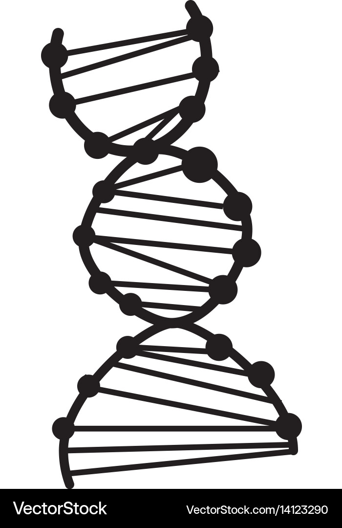 Dna icon on white background dna sign Royalty Free Vector