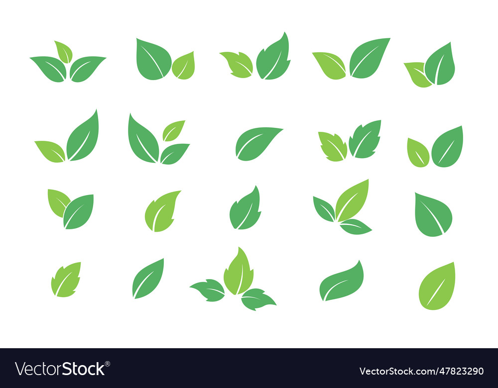 Leaves of trees and plants collection green leaf Vector Image