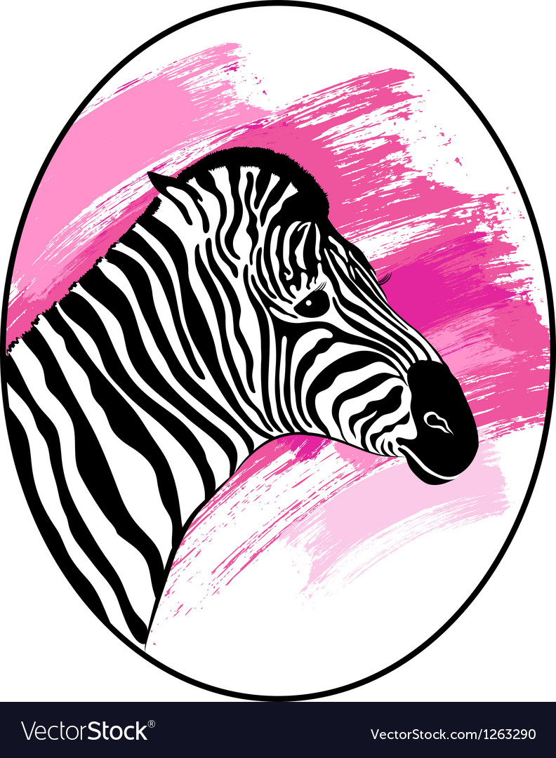 Zebra Royalty Free Vector Image - VectorStock