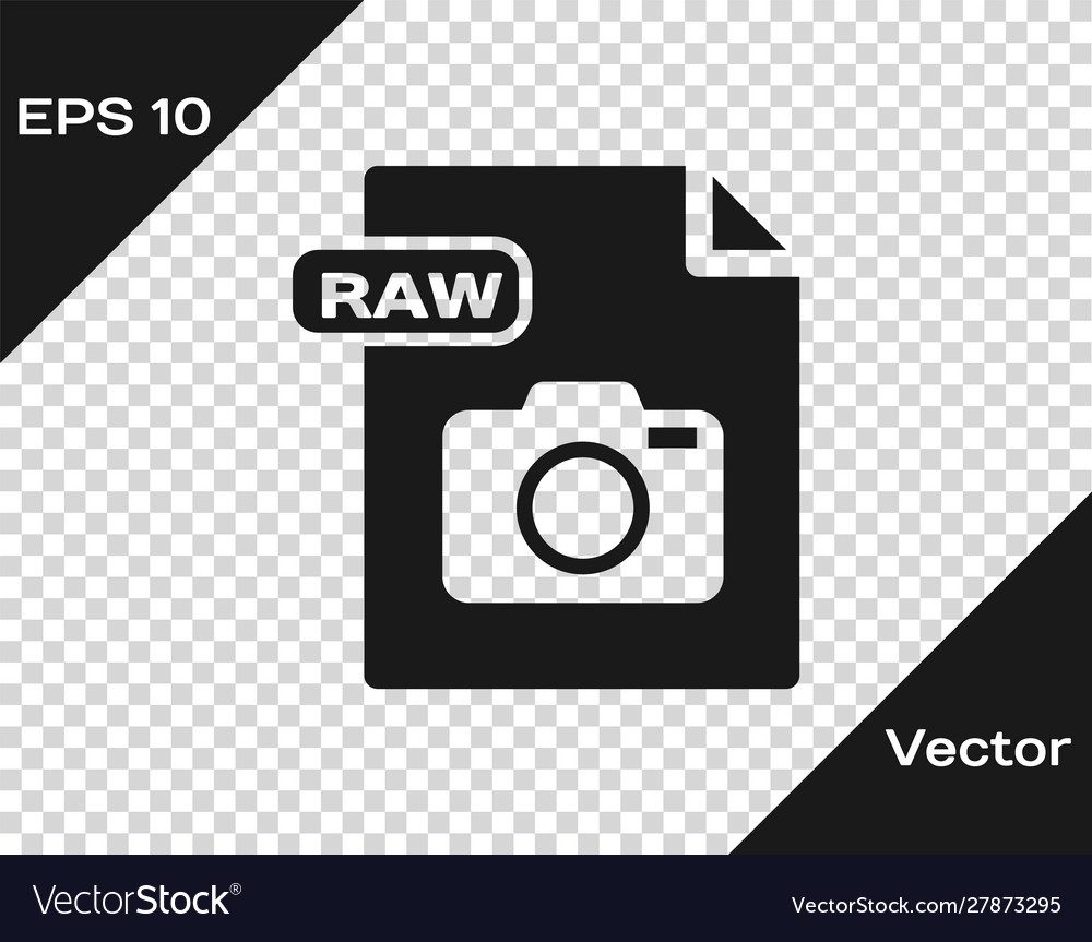 Grey raw file document download raw button icon Vector Image