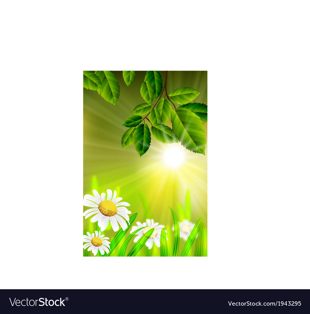 Spring background Royalty Free Vector Image - VectorStock
